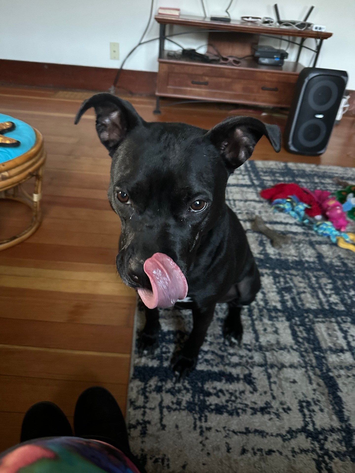 Stormi – Just Another Damn Thing to be Strong About